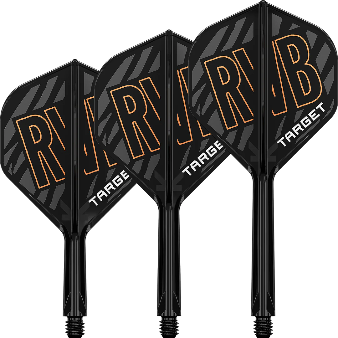 Target K-Flex Raymond van Barneveld NO2 - Dartshopper.pl