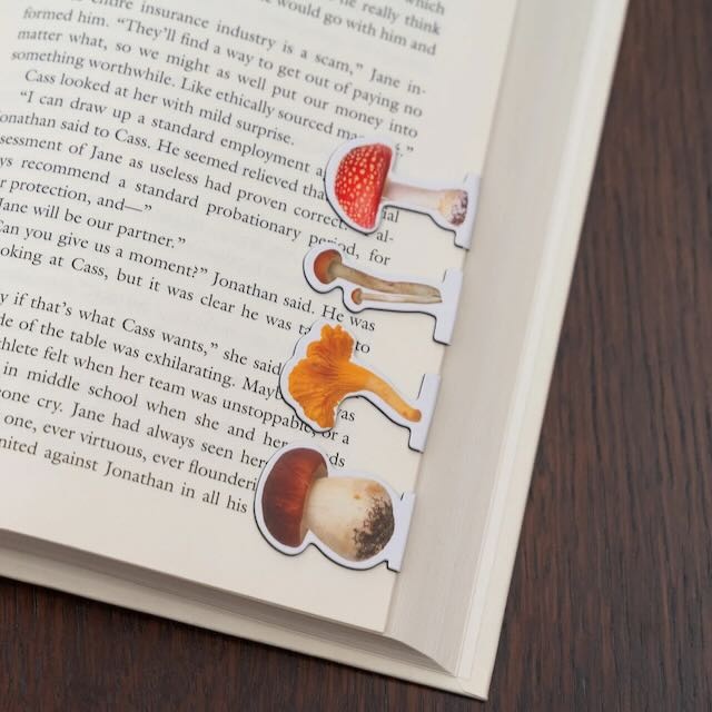 Magnetic Bookmarks Kikkerland | Gratis Ingepakt | cadeau-cadeau.nl ...