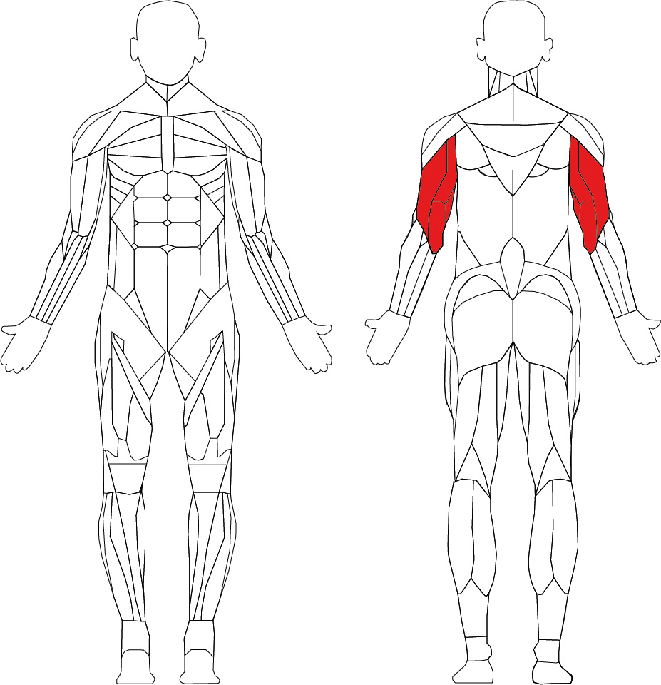 Matrix Ultra series G7 triceps press - Best Buy Fitness