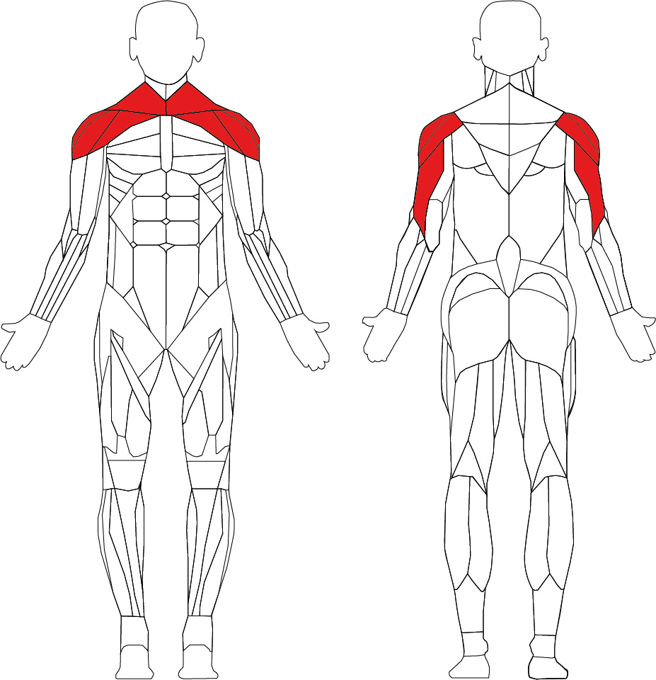 Aura series G3 lateral raise van Matrix - Best Buy Fitness