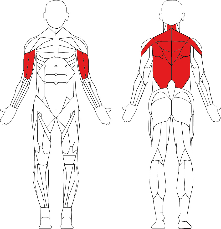 Technogym Selection Upper Back - Best Buy Fitness