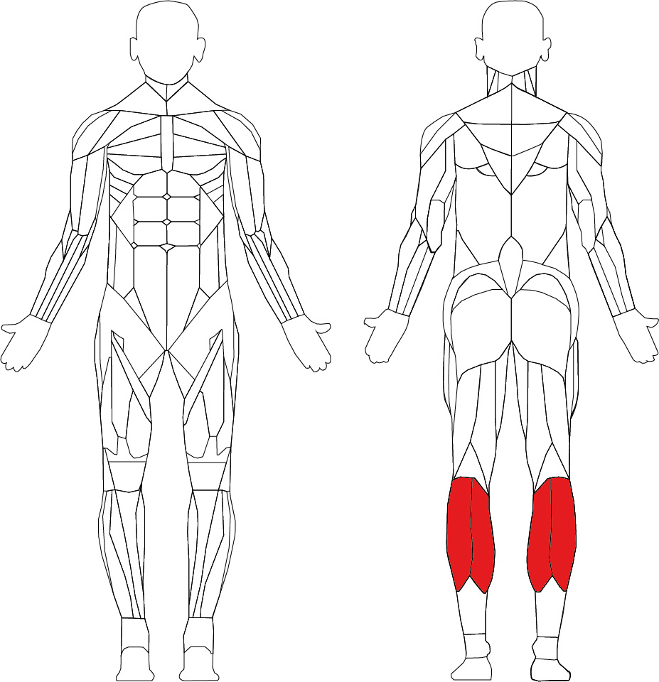 TechnoGym selection rotary calf - Best Buy Fitness