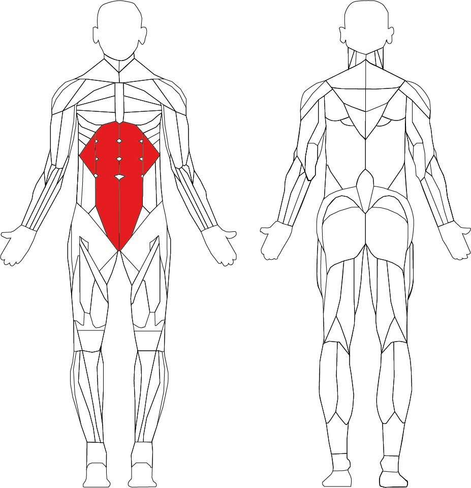Matrix Ultra series G7 rotary torso - Best Buy Fitness