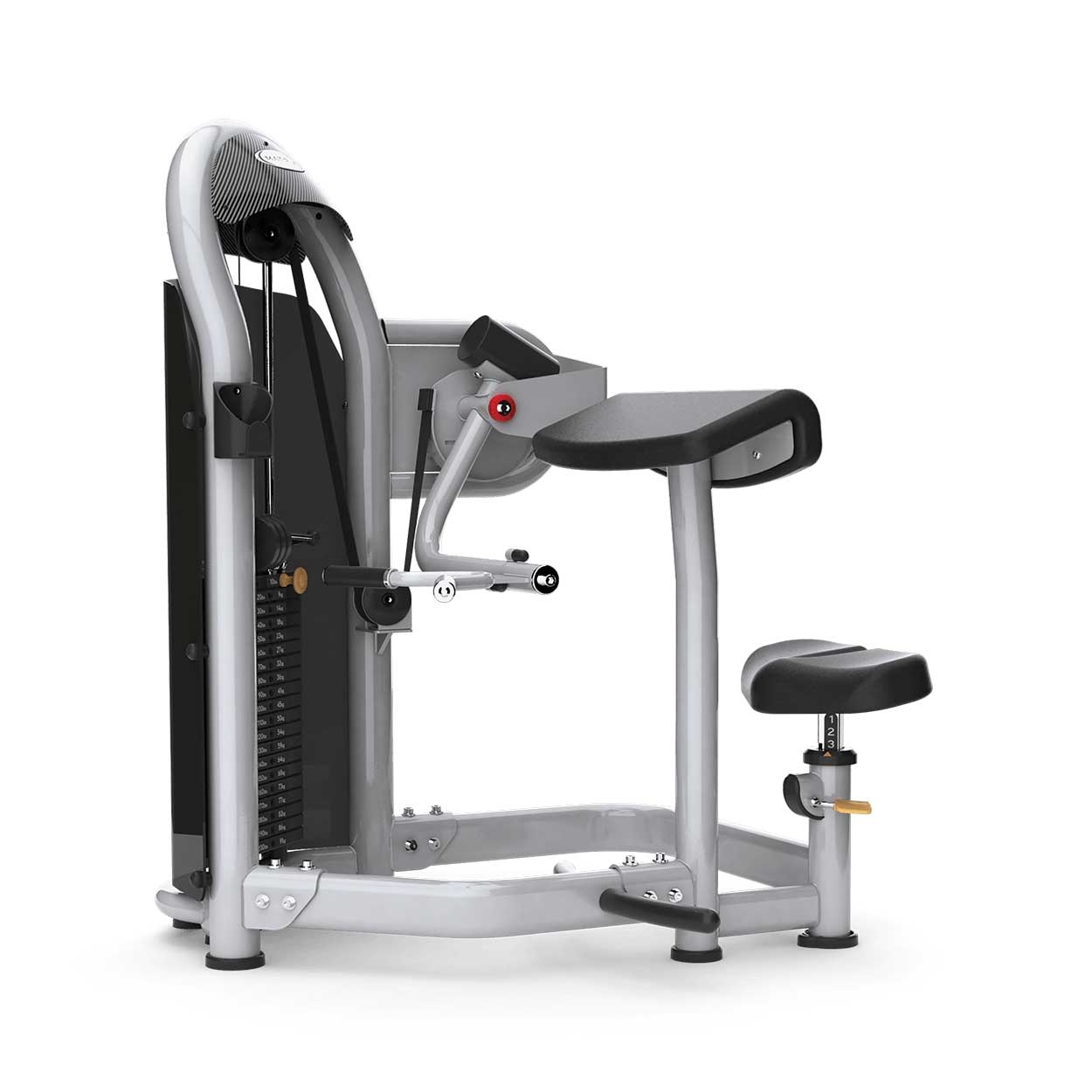 Matrix Aura series G3 arm curl - Bovenarmen trainen - Best Buy Fitness