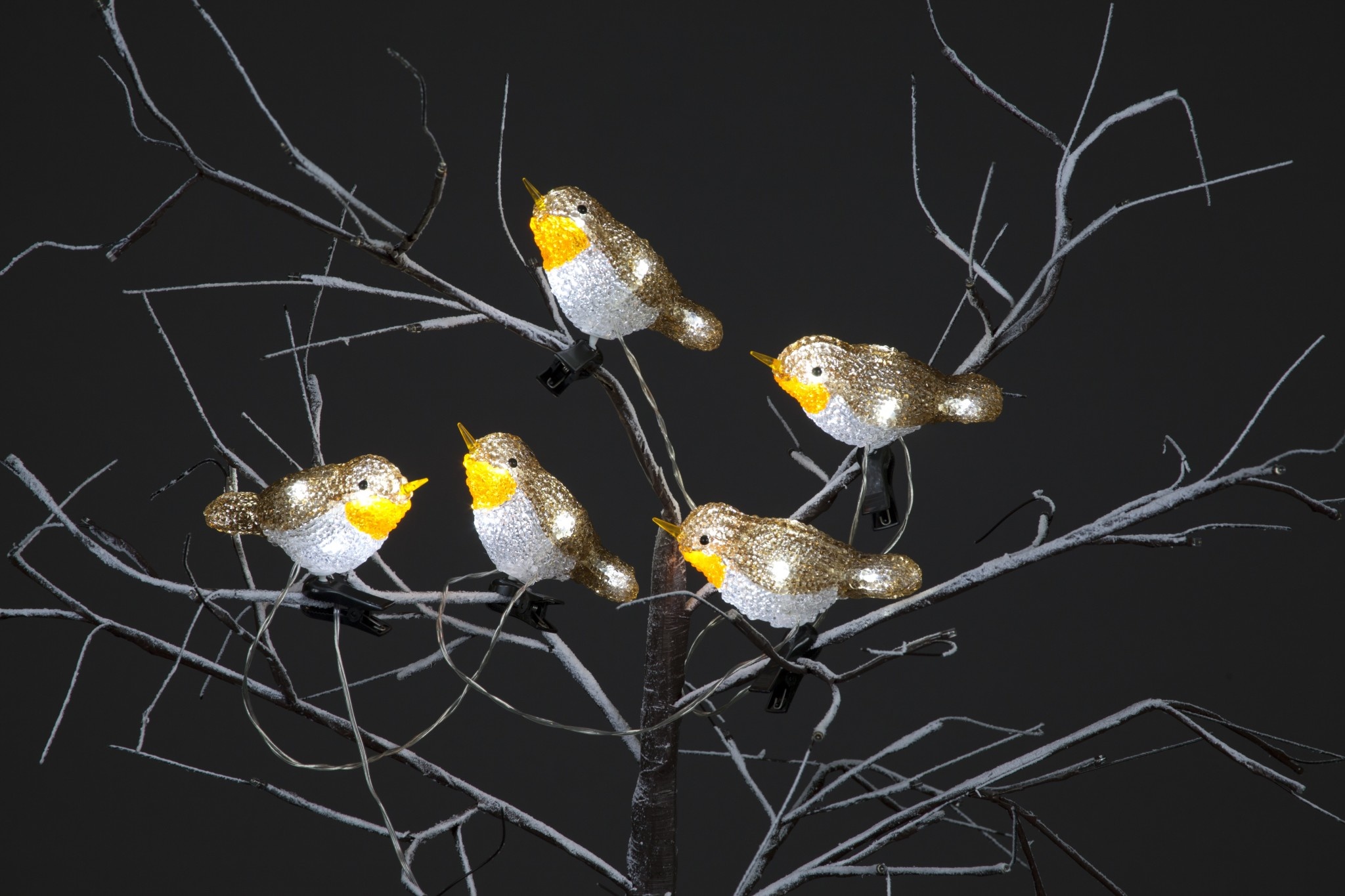 Acrylic 5 Robin Lights clip on ice white 30 cm - Clock’s Home and Garden