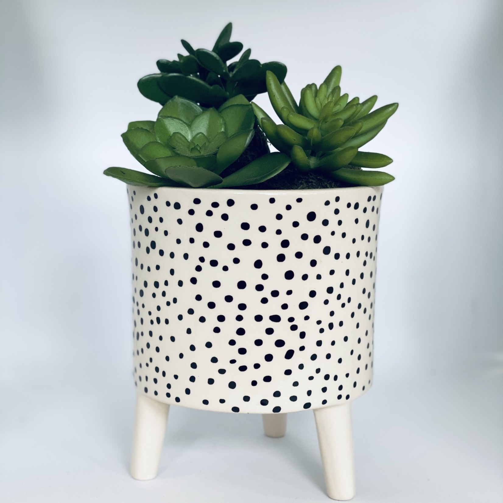 Planter On Legs, Spots and Stripes - Clock’s Home and Garden