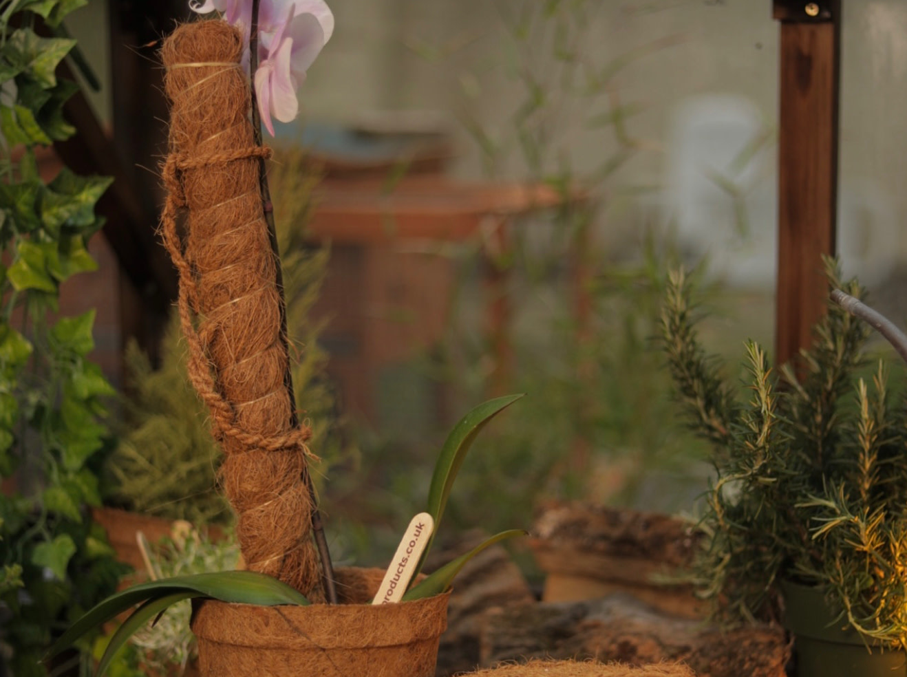 Coir Moss Grow Pole 140cm - Clock’s Home and Garden