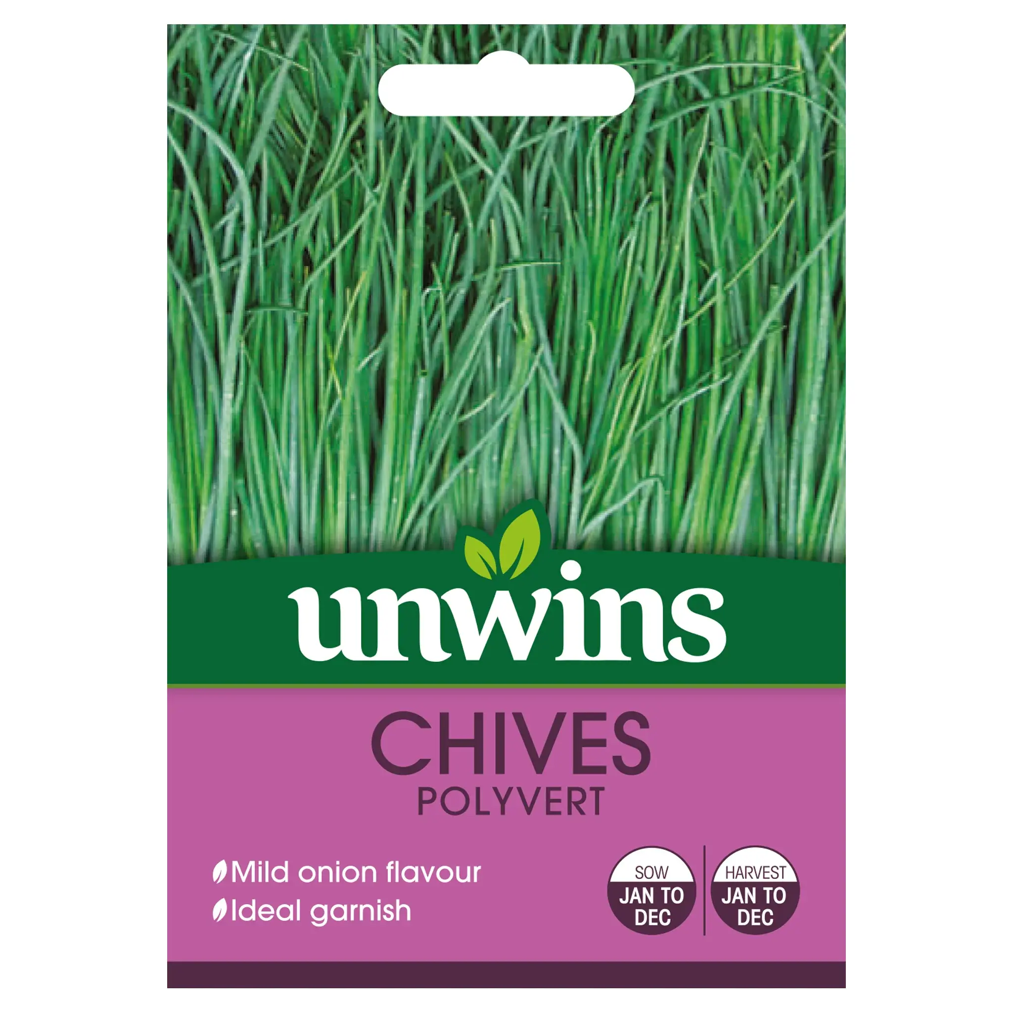 Unwins Herb - Chives Polyvert - Clock’s Home and Garden
