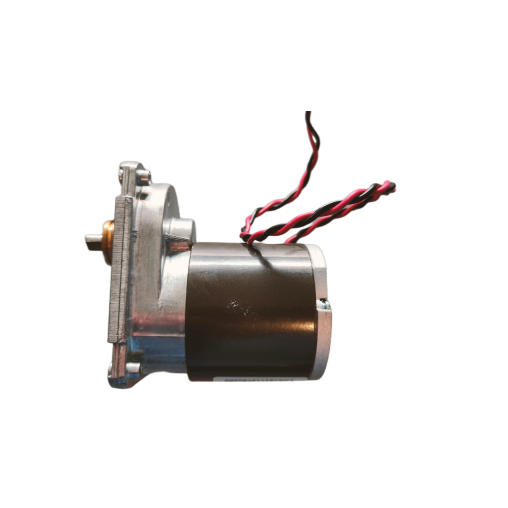 Dolphin Drive Motor | Zwemland.nl - Zwemland