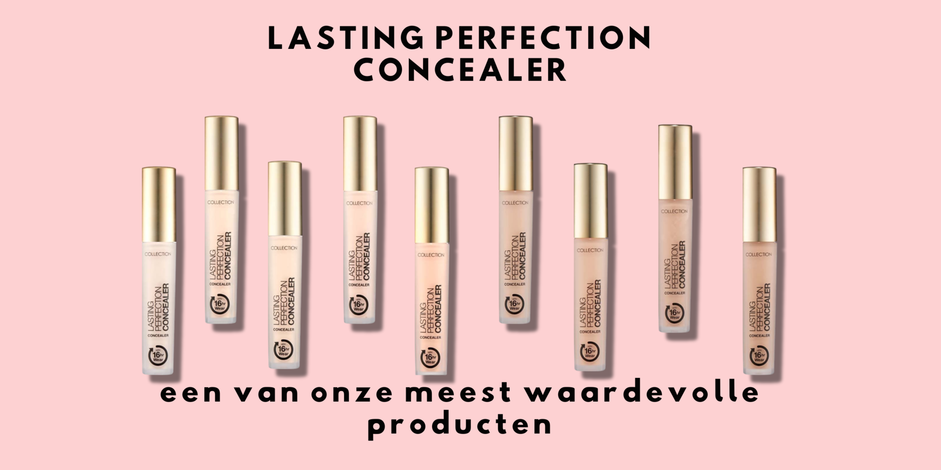 Lasting Perfection Concealer - ANVY