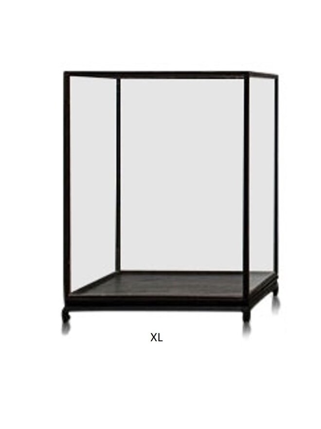 Rectangular glass dome with wooden frame – S - Curiosa Cabinet