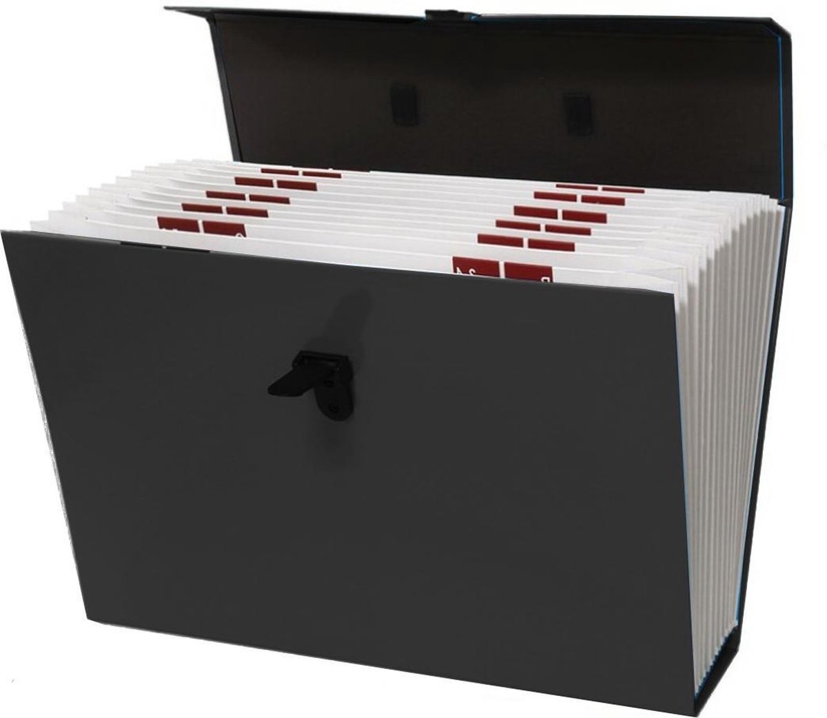 Folder With Handle - File folder - Sorting folder - Office folder ...