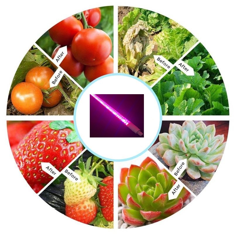 TL LED Buis Groeilamp - Full Spectrum - 9 Watt - 60 cm - Waterdicht ...