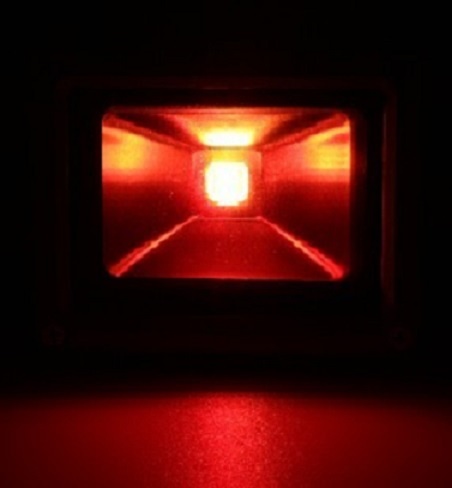 LED Bouwlamp Schijnwerper Rood - 10 Watt - Ledtohave