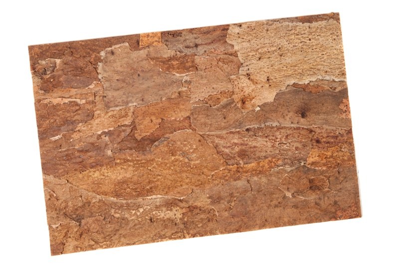 Wandkurk plaat - Cork Forest Back - 60 x 90 cm Bestel nu! | Kurk24.nl ...