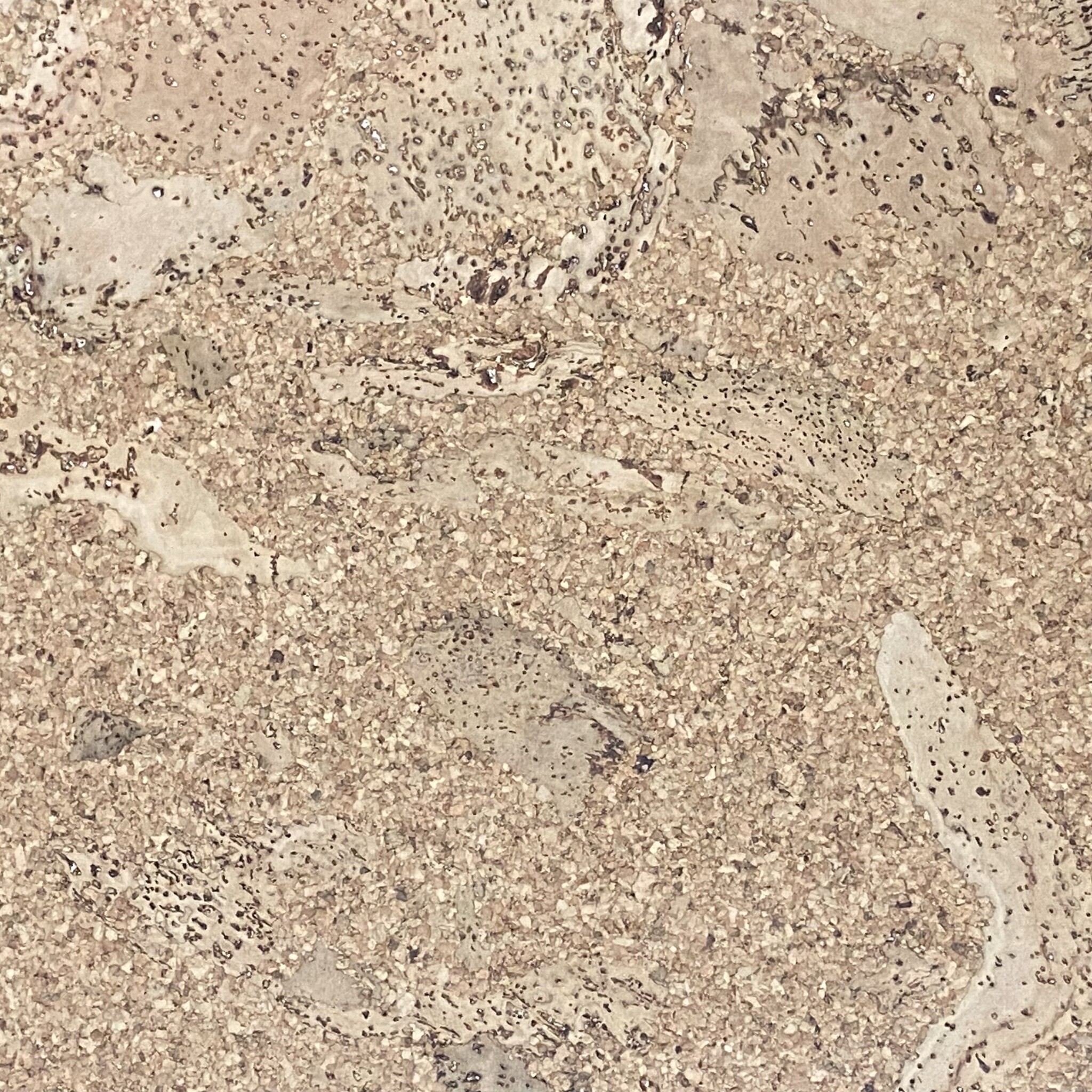 Gelakte plak kurkvloer - Orione - 60 x 30 cm. - per m² - Kurk24