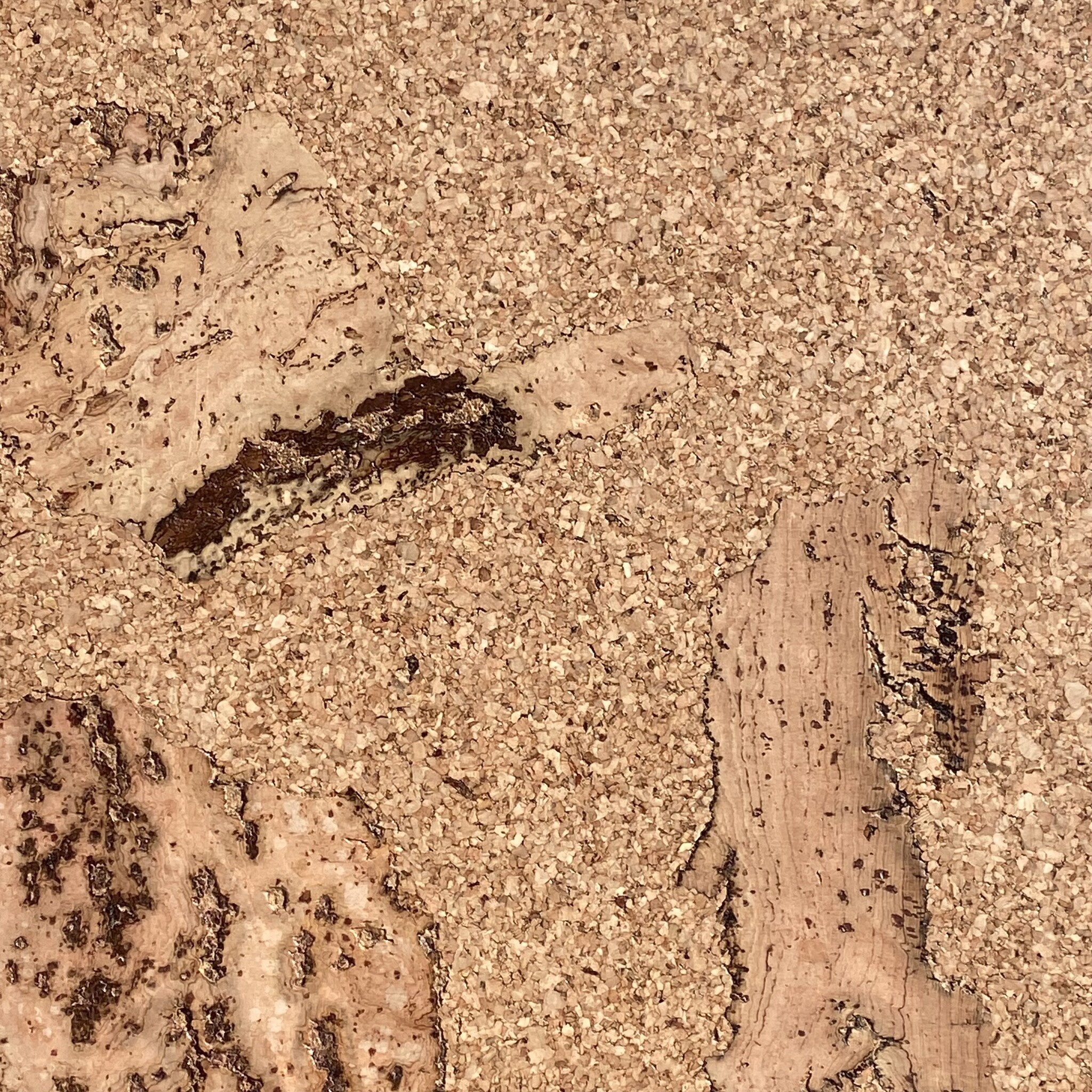 Ongelakte plak kurkvloer - Gallura - 60 x 30 cm. - per m² - Kurk24