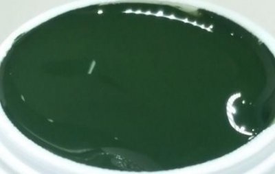 345 | Colorgel by Enzo 5ml - Dark Green - BeautyNail