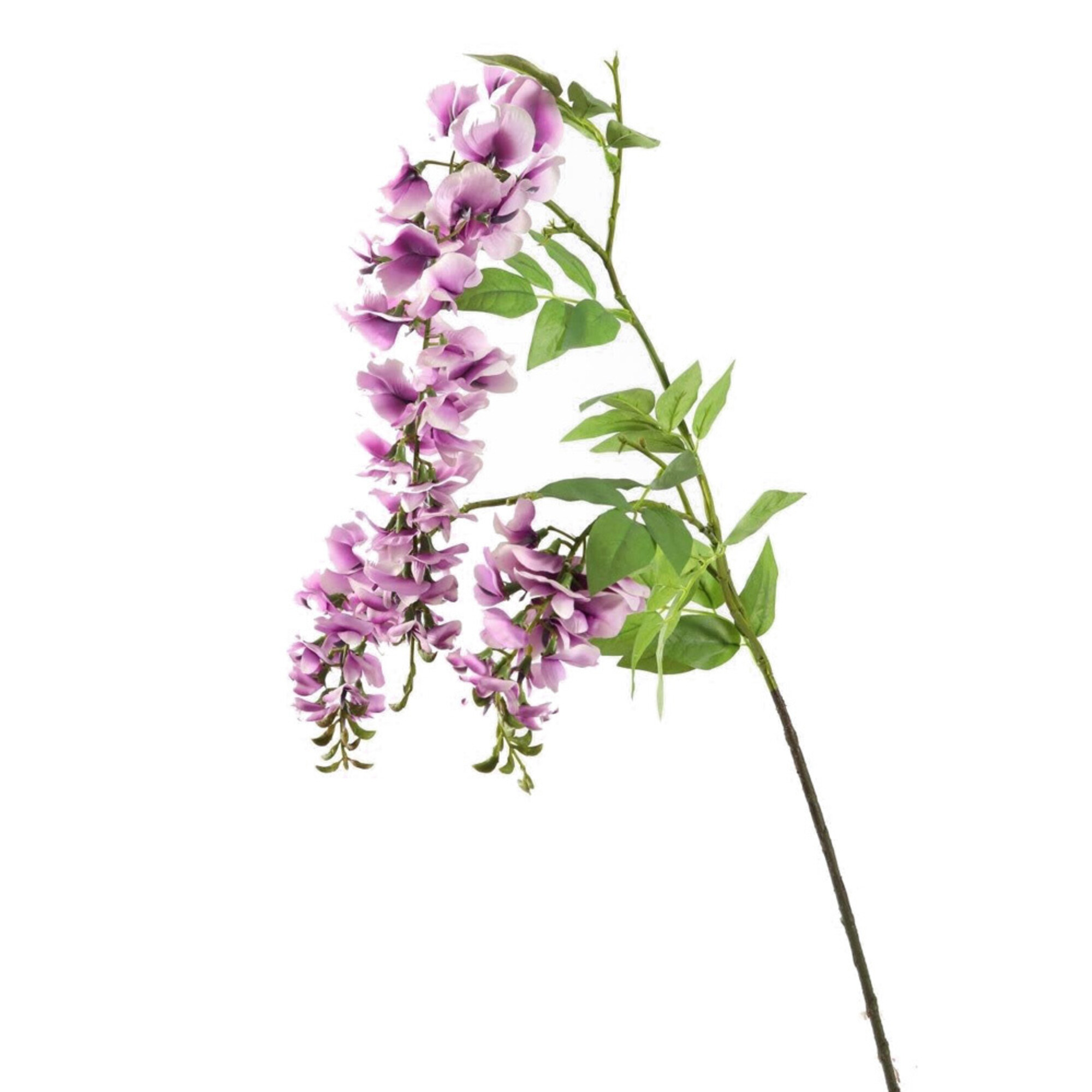 Kunstbloem Wisteria Lila /Lavendel Tak 112cm bestellen en kopen ... Kunstbloem Wisteria Lila /Lavendel Tak 112cm bestellen en kopen ...