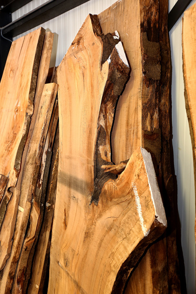 Duurzaam geoogst hout uit de Bollenstreek - HET TAFELARSENAAL