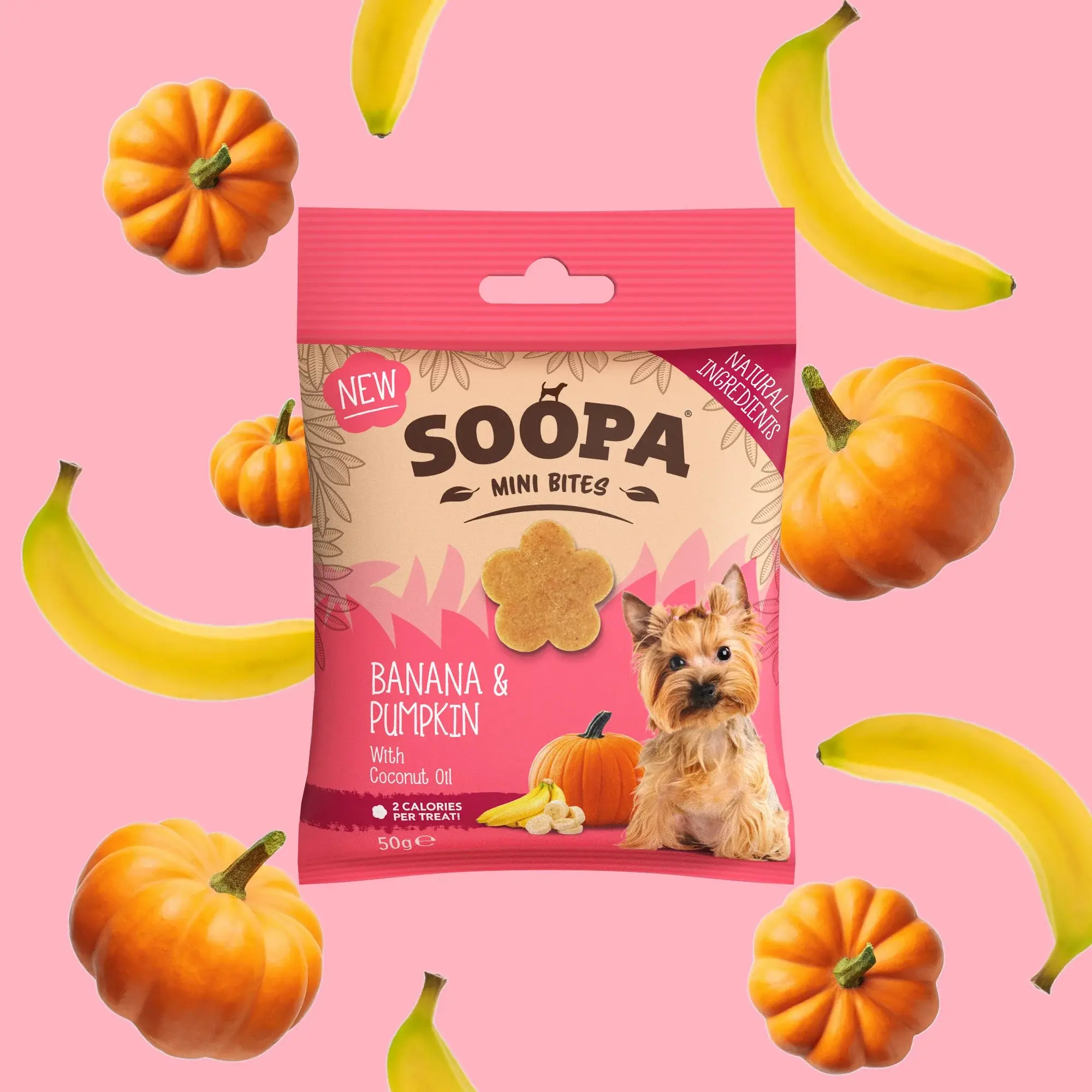 Soopa Bites - Banaan & Pompoen Mini Honden - The Dog Lounge