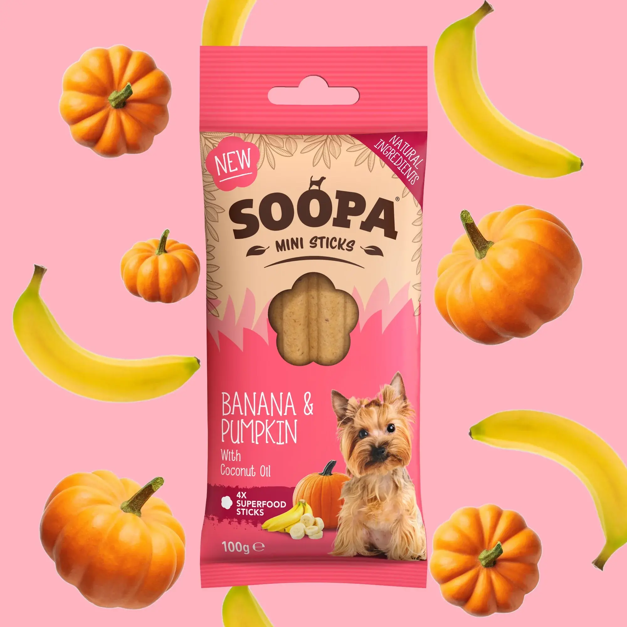 Soopa Dental Sticks - Banana & Pumpkin Mini - The Dog Lounge