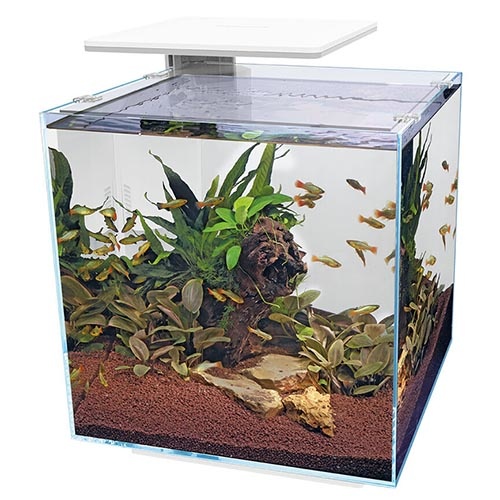 Superfish Qubiq 60 Pro wit kopen | PEEKOI.NL - Peekoi