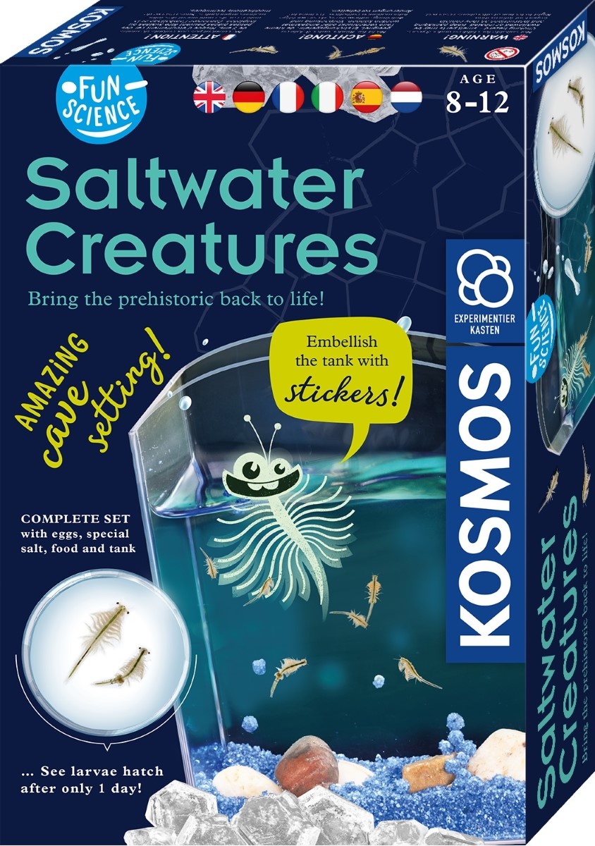 Kosmos | Fun Science - Saltwater Creatures | Little Thingz