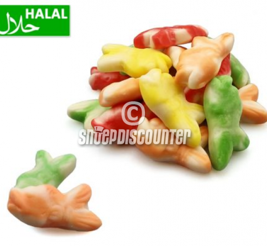 Visjes Jelly Twist Fish - 1 kilo - Snoepdiscounter.nl