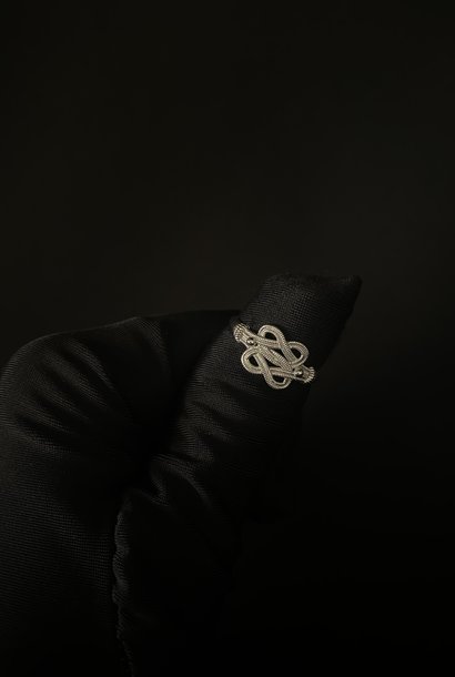 Meerdere modellen Zilveren ringen op voorraad! - De Goud Winkel