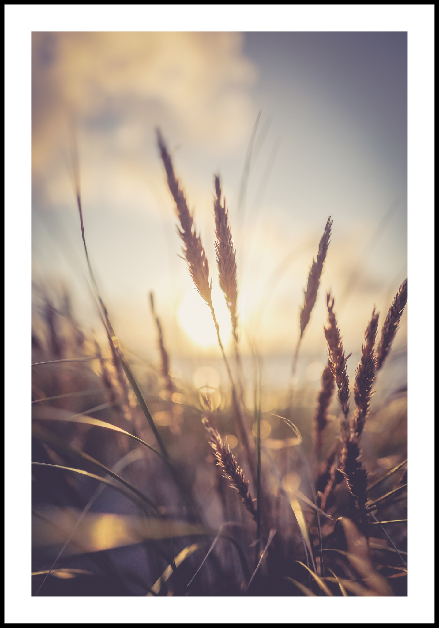 Aesthetic poster Duingras - Dunnebier Home