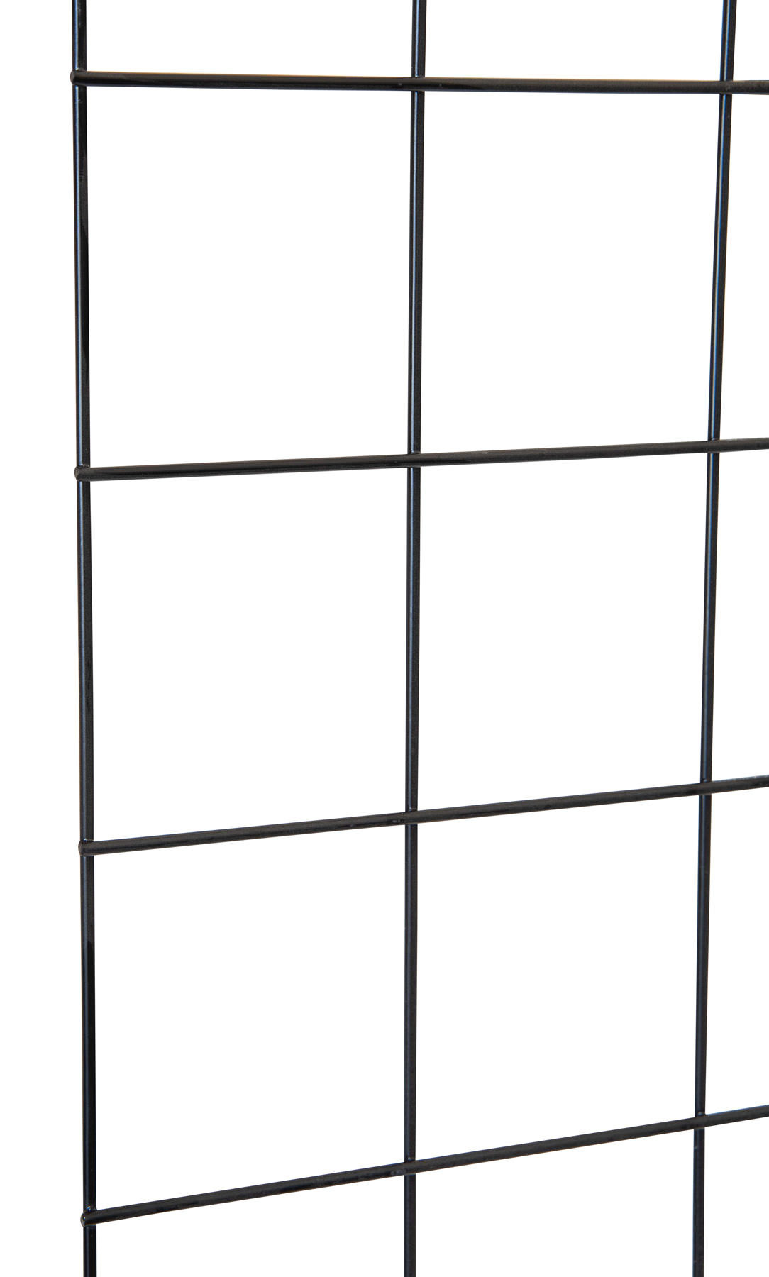 Gaaspaneel zwart gecoat, maas 10x10cm, 180x180cm | Giga Gaas