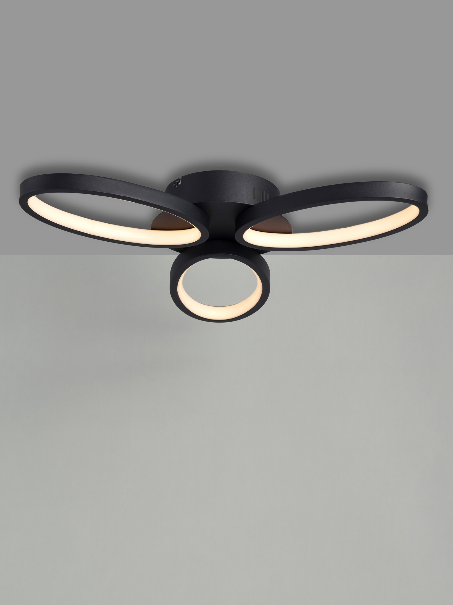 Ovals LED Semi Flush, Black - The Factory Shop - Poole Lighting
