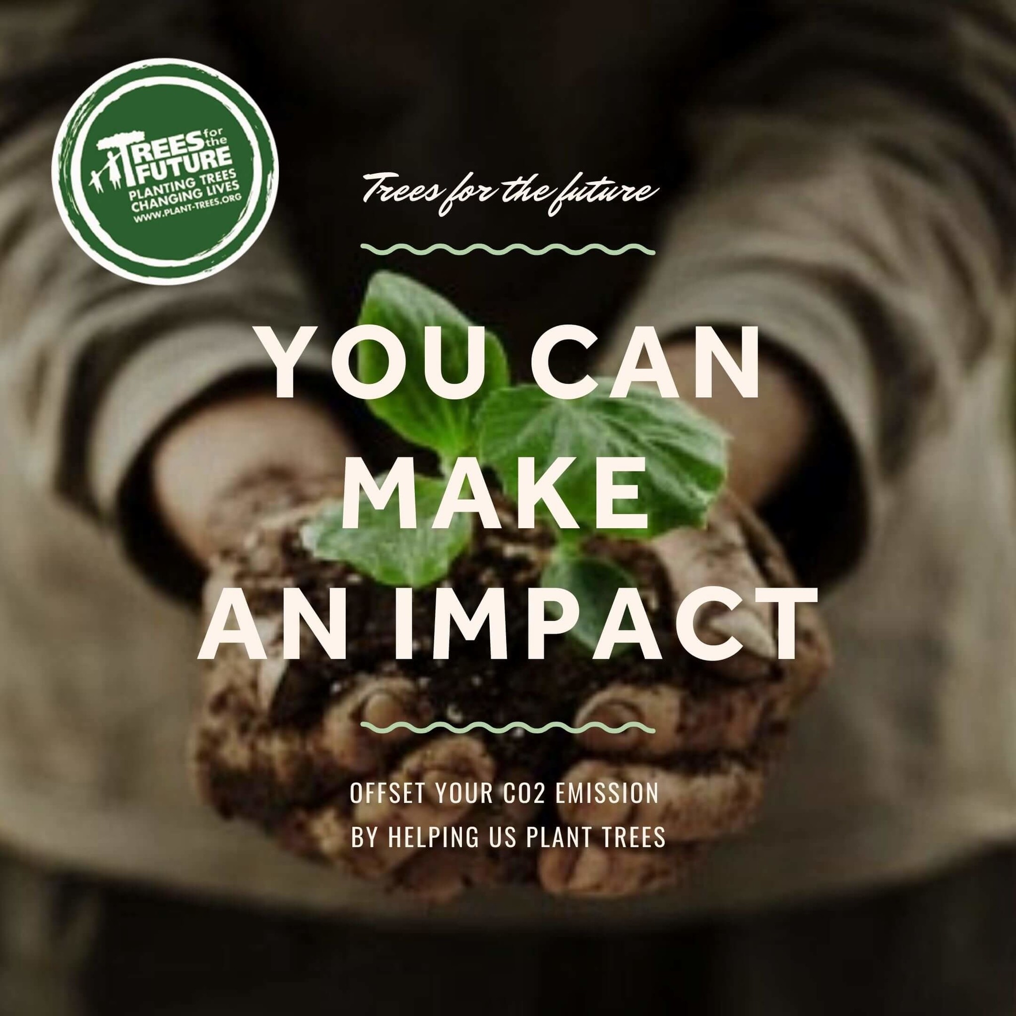 Offset your CO2 emissions - Plant a tree with Trees for the Future ...