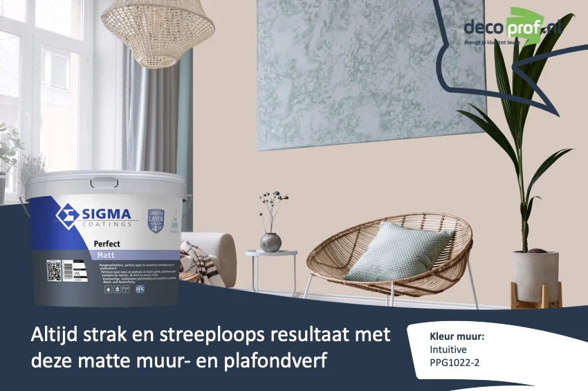 Sigma Perfect Matt in de kleur PPG1022-2 Intuitive - Decoprof.nl