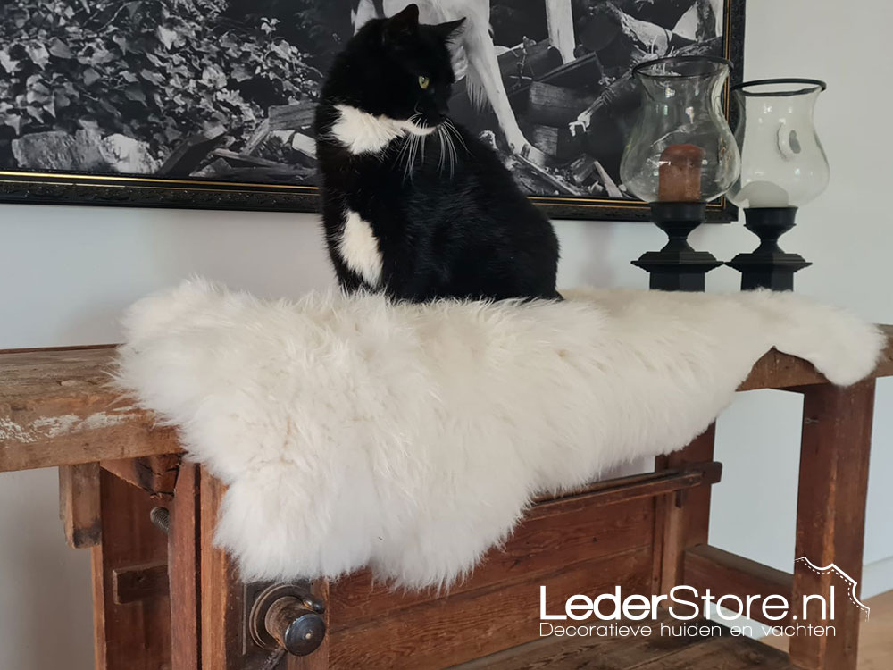 Purrrfect, de leukste foto’s van katten op schapenvachten - Lederstore.nl