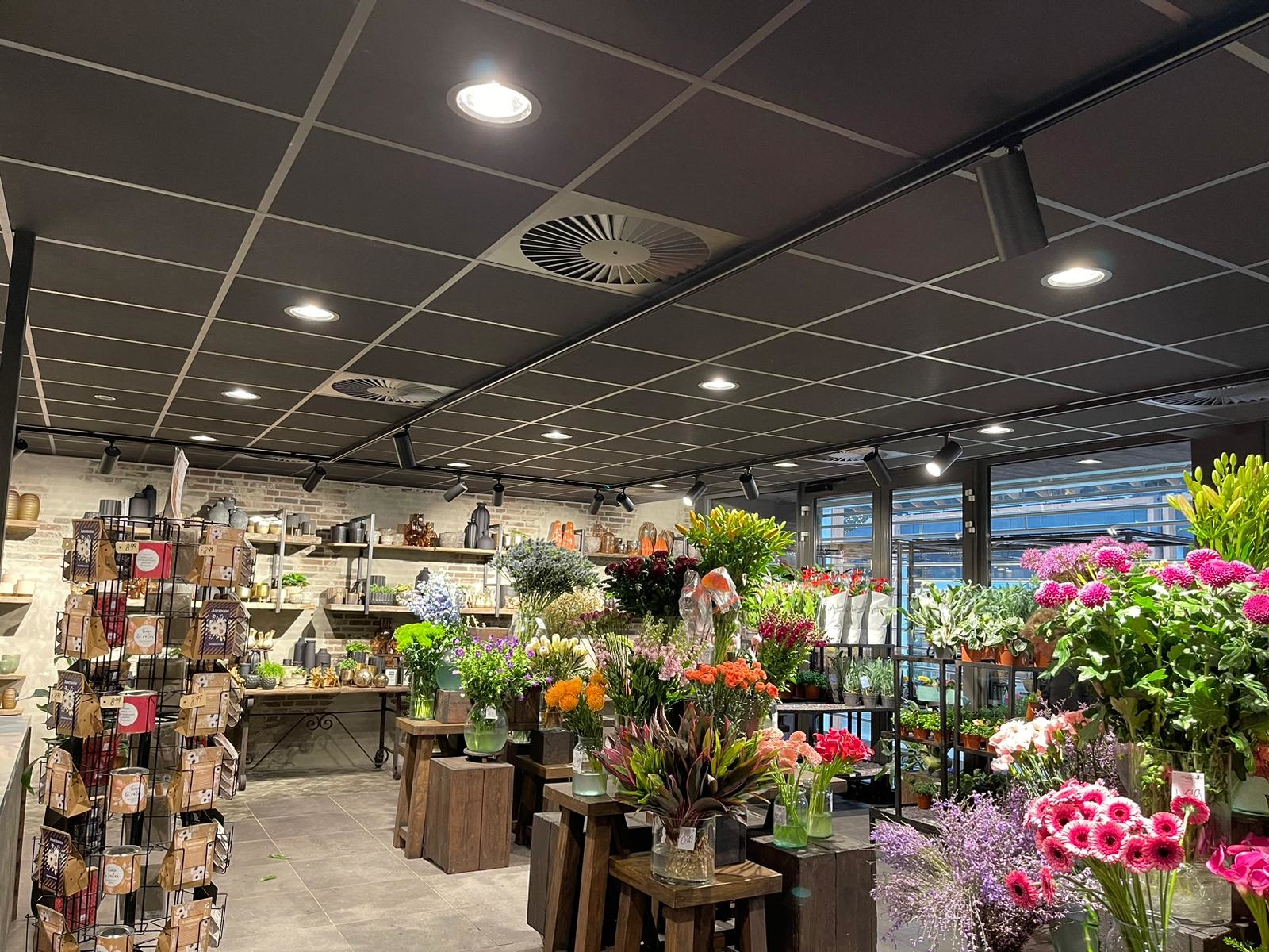 GELED helder projecten - LEDLED B.V.