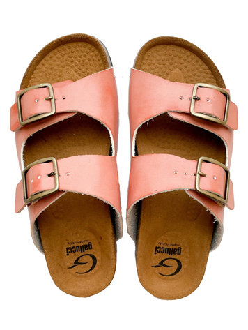 Gallucci - Jackie Kid