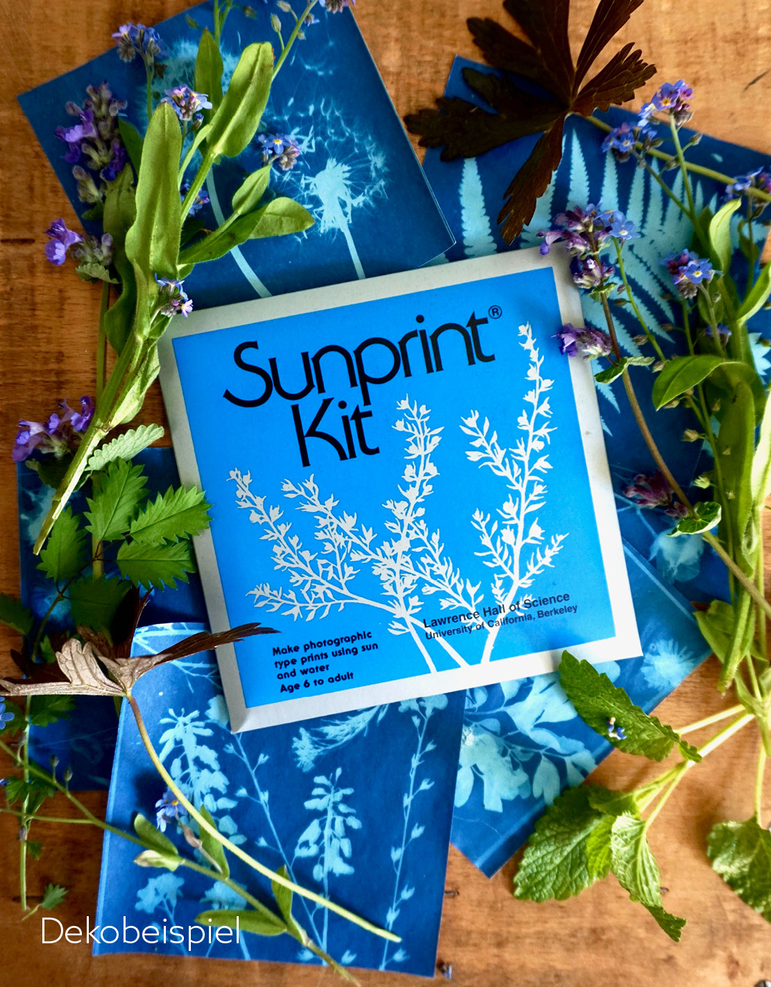 Sunprint Kit bei Miom Studio - Miom Studio