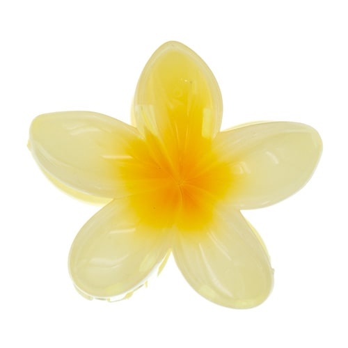 Haarklem bloem glanzende geel - Goudhaartje
