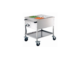 Tefcold Tefcold Staande vriezer | RF1010 | 900L | -24 tot -18°C ...