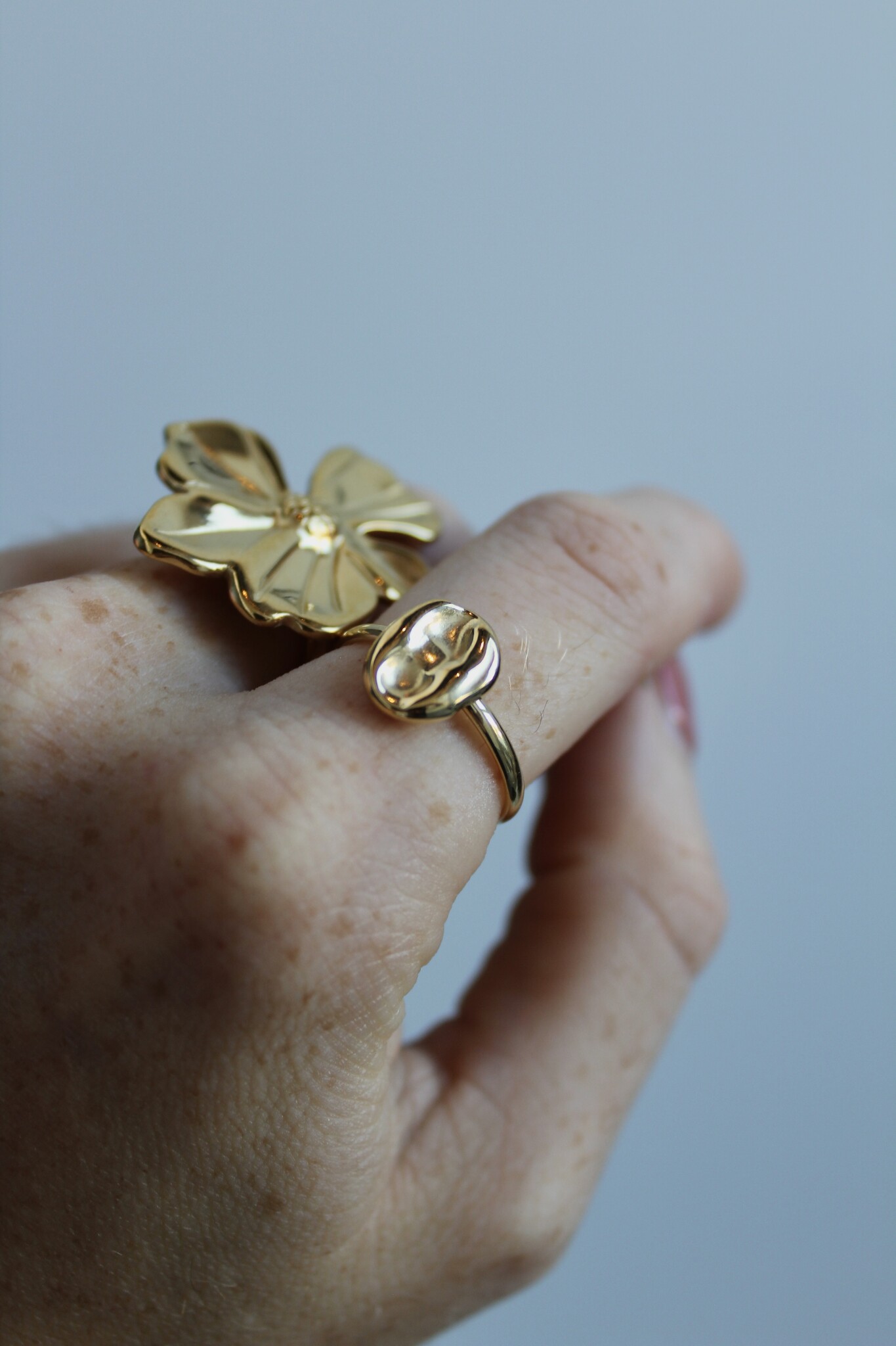 'Solvi' Anillo Oro - Acero inoxidable