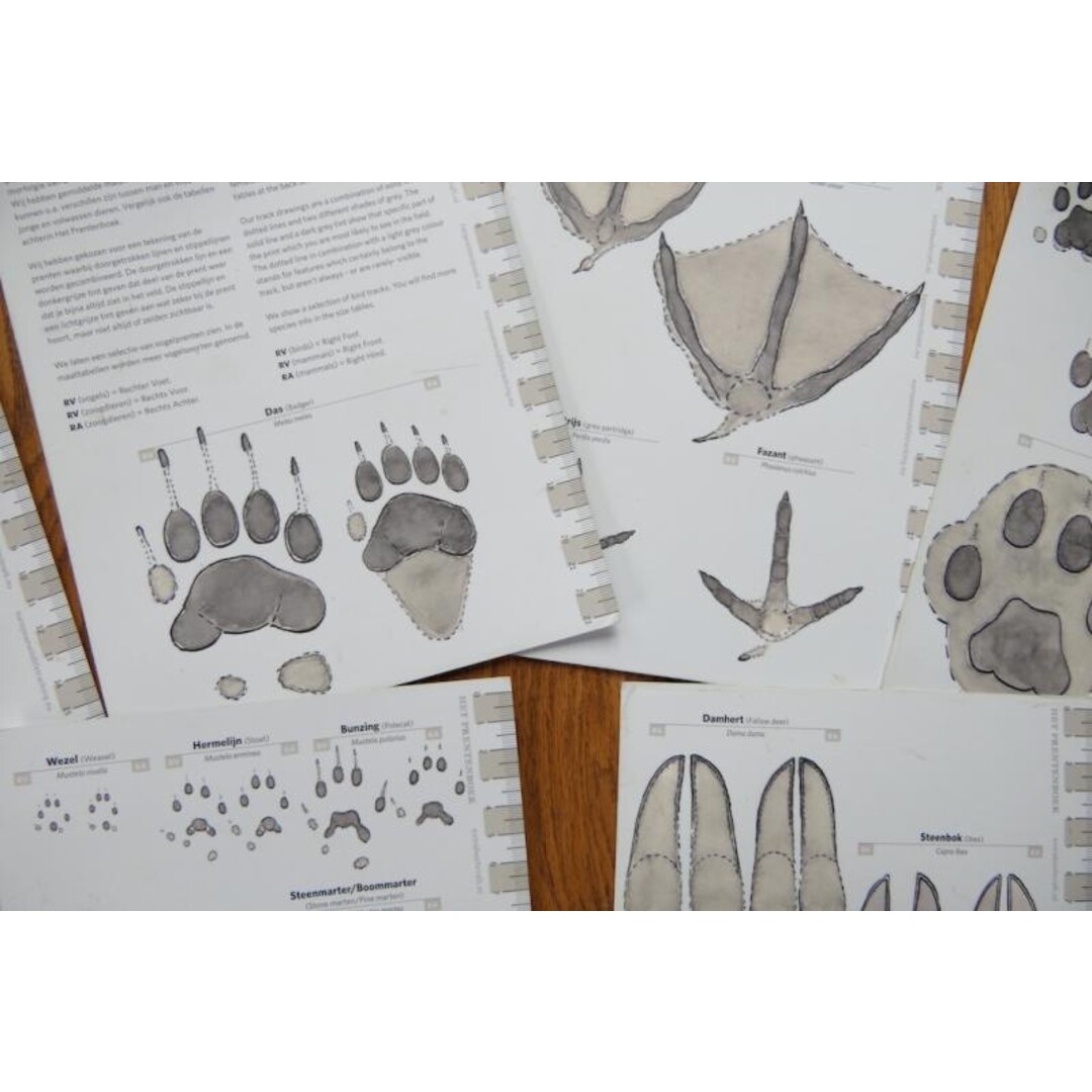 Field cards | Bushpappa.nl - Bushpappa