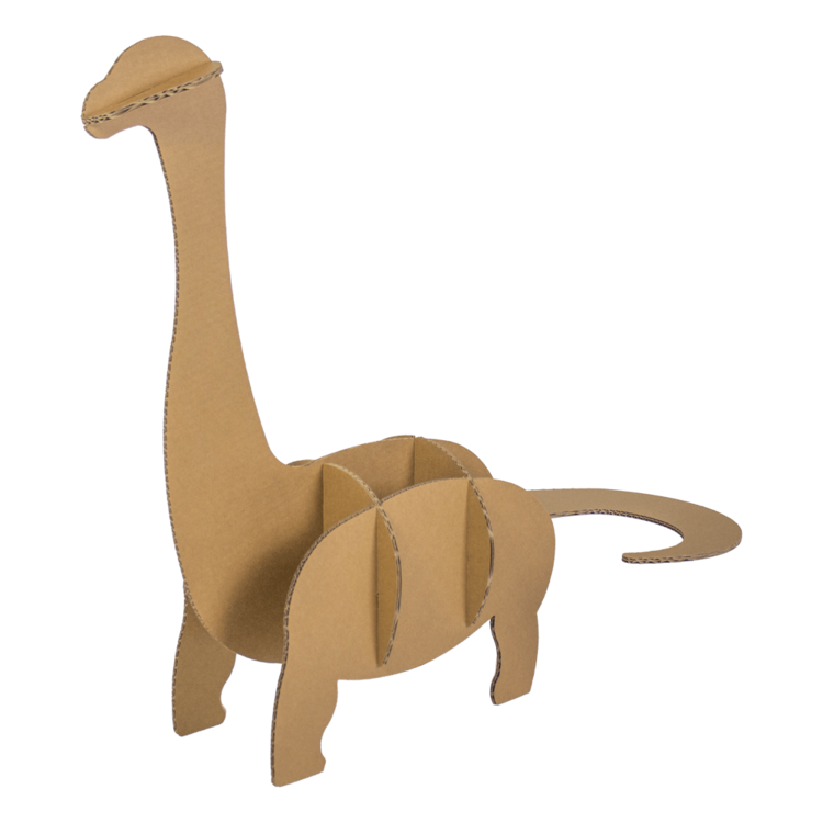 Brontosaurus Dinosaur