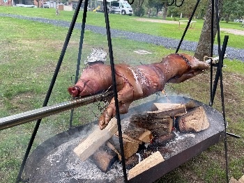 varken aan het spit - Wilderness cooking