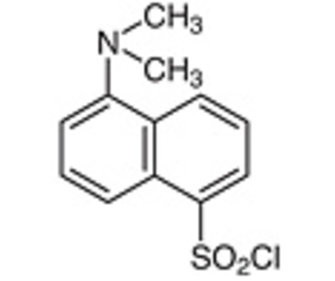 Dansyl Chloride >98.0%(HPLC)(T) 25g