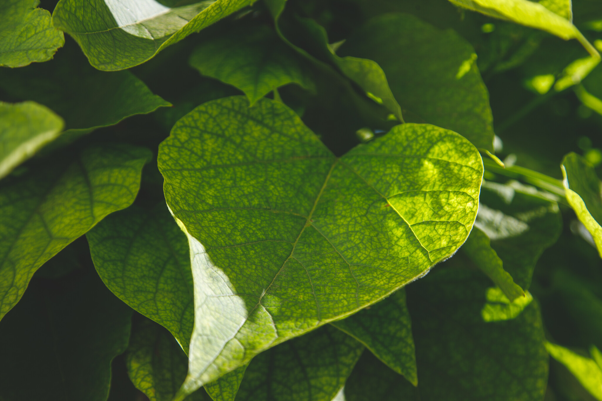 Die Kraft der Routine: Warum Gewohnheiten deine Gesundheit stärken ...