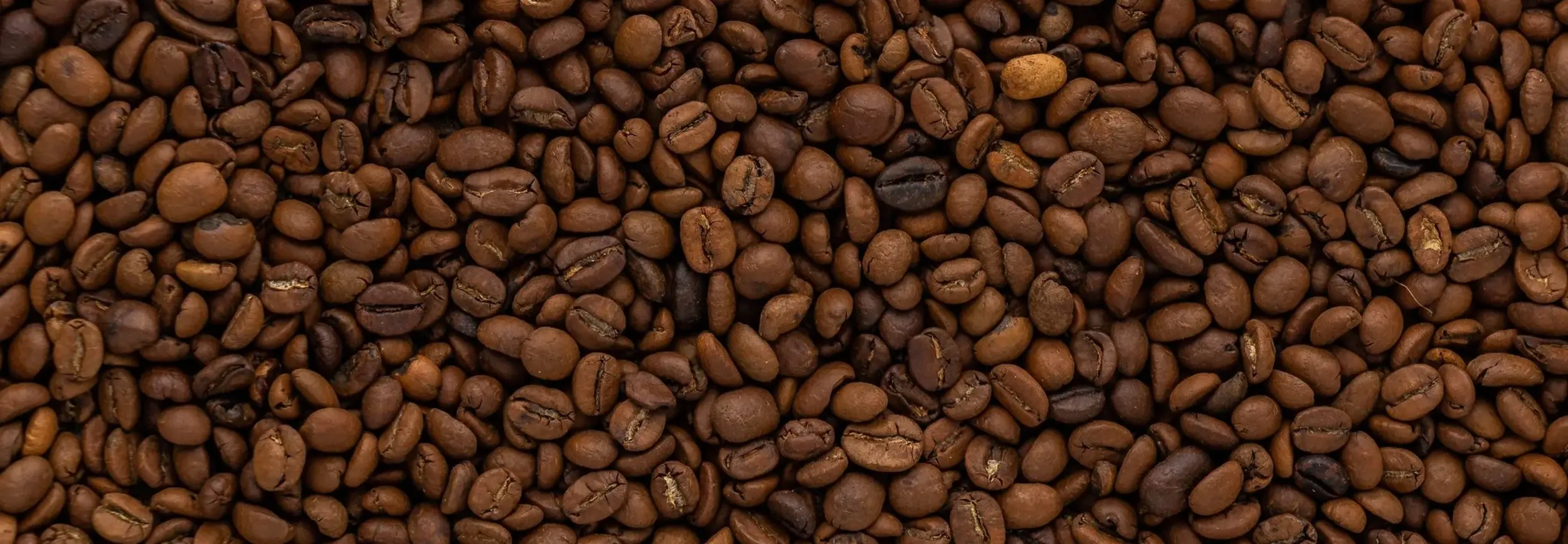 Koffie bewaren: hoe houd ik mijn koffie vers?