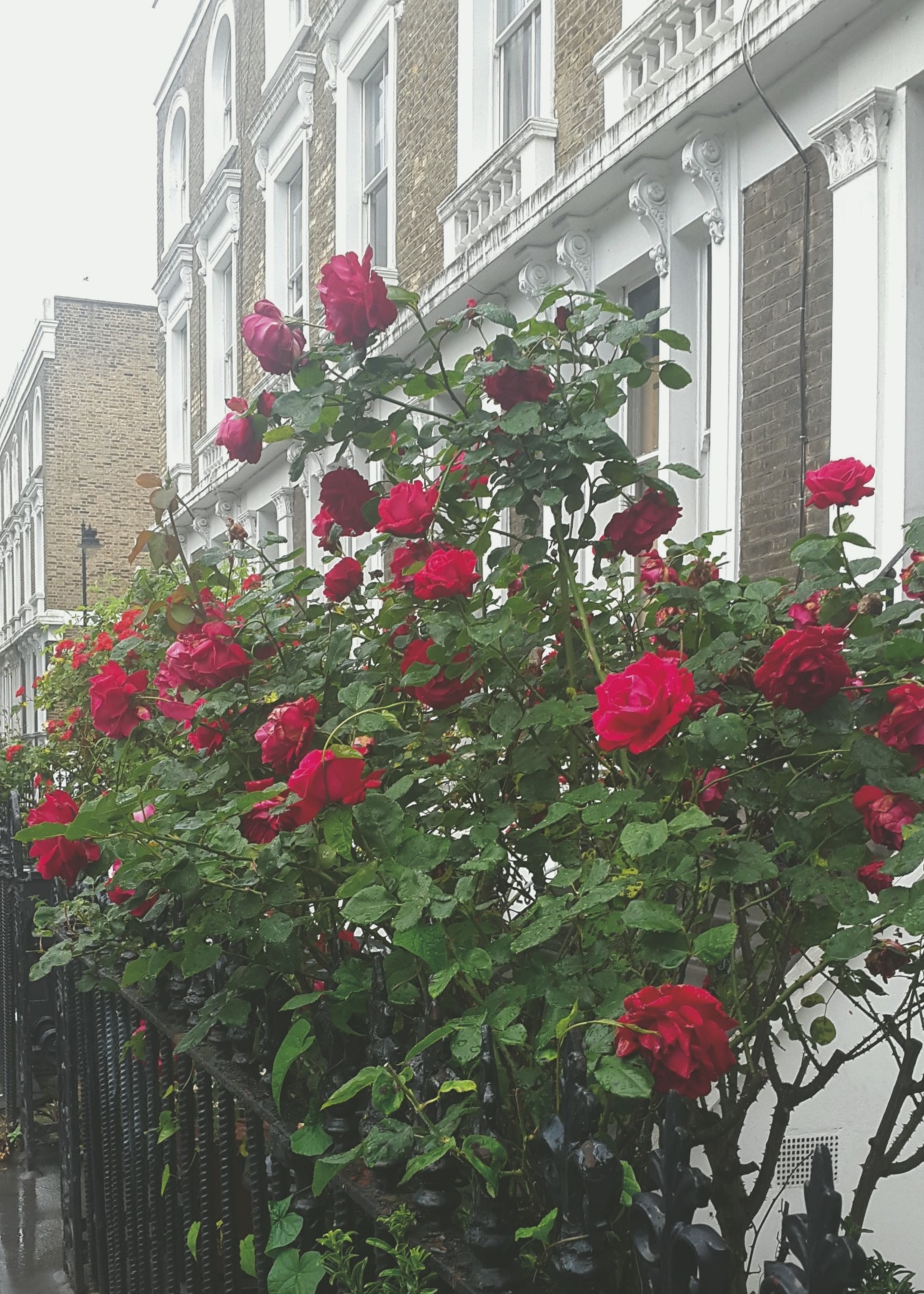 Gallivant - London - Eau de Parfum - smell stories