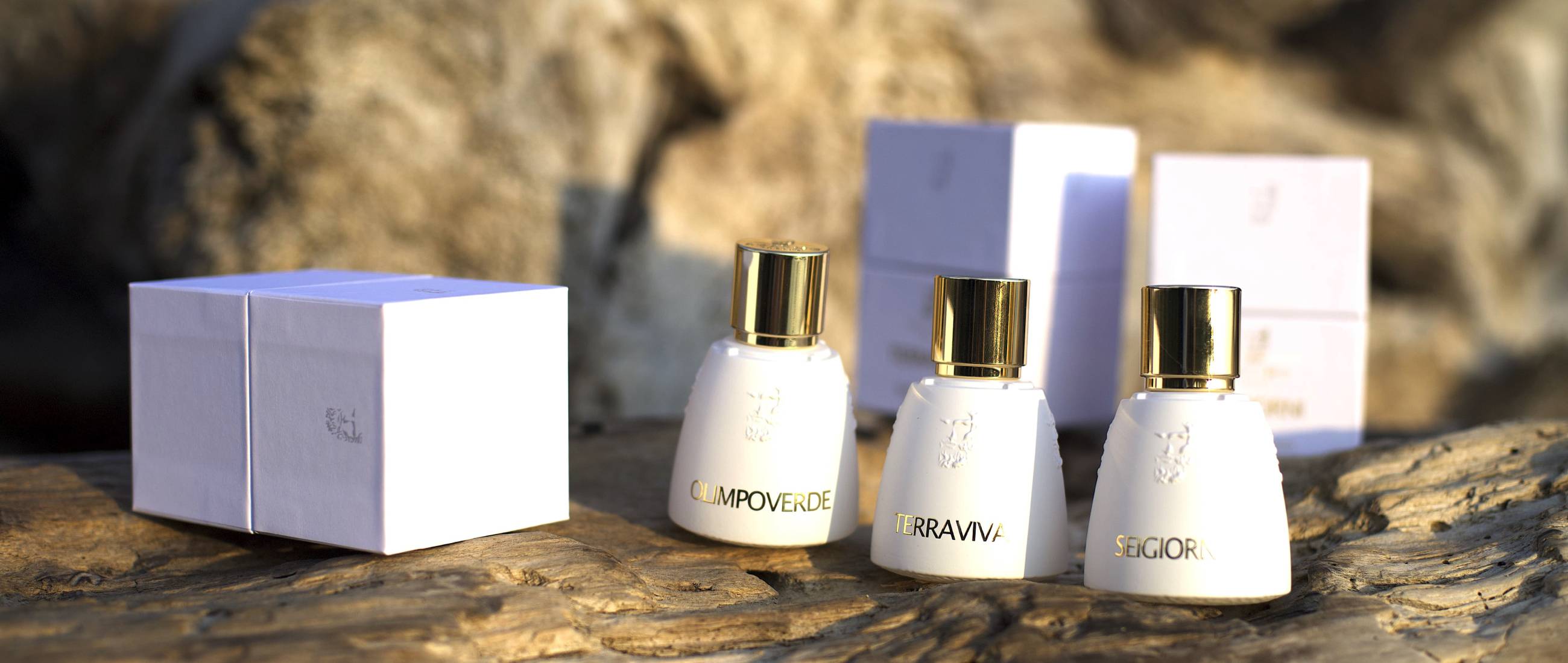 smell stories - smell stories